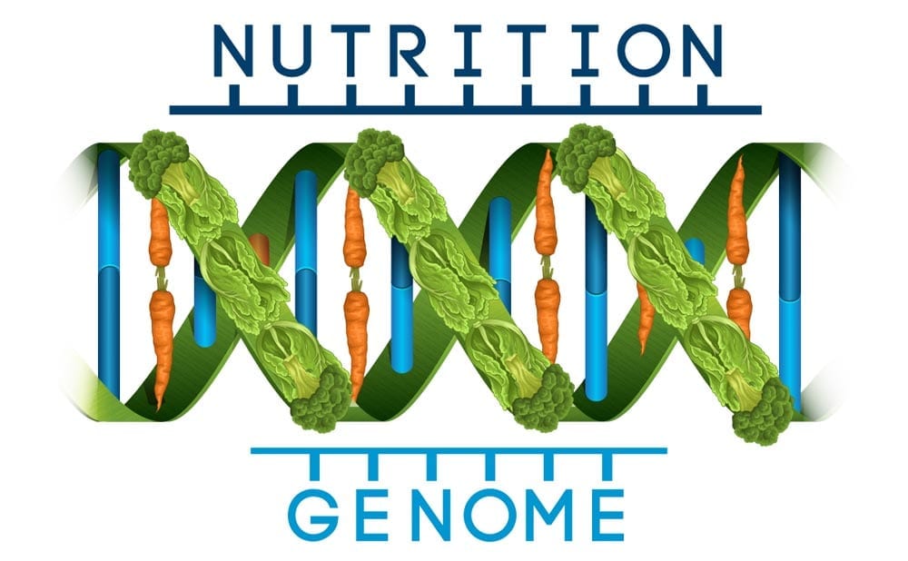 DNA Nutrition Test | Nutrition Genetic Testing | Well Humans
