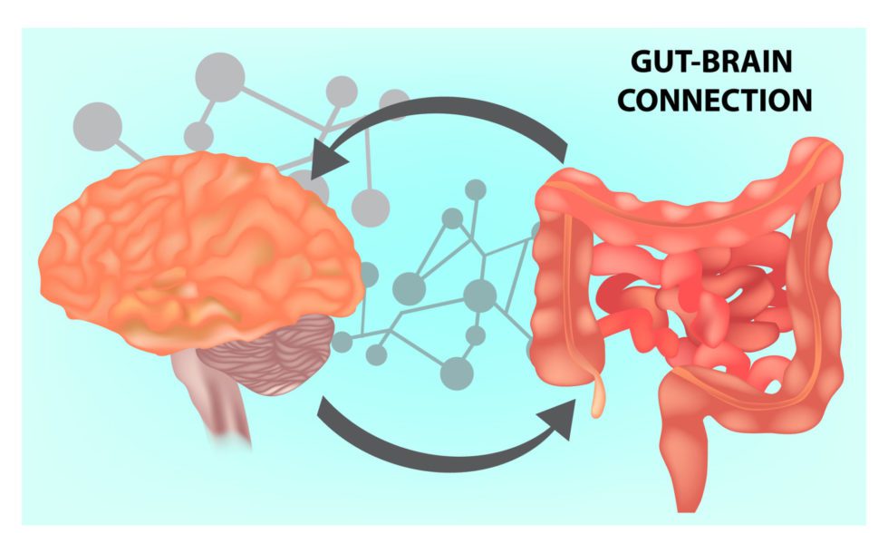 Protect Your Gut Health: Take The High Road With Nasty People - Well Humans